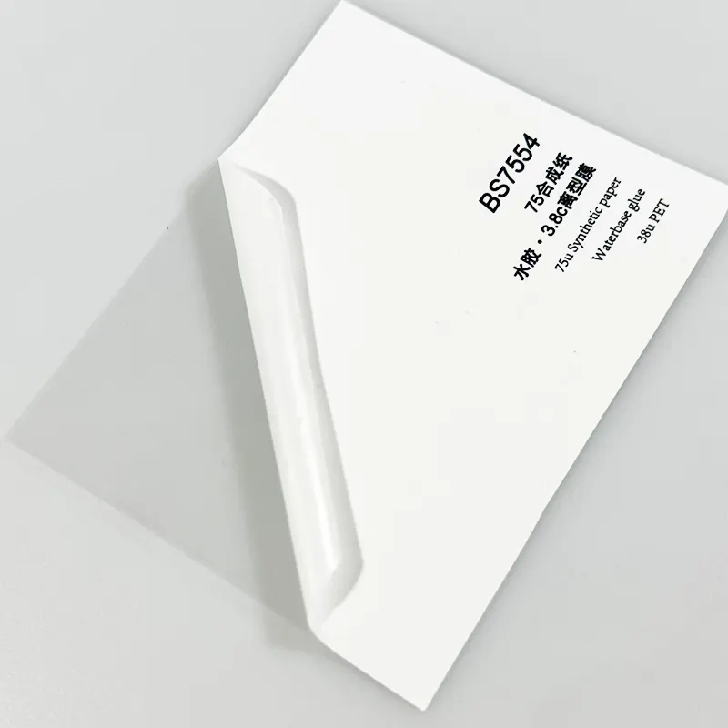 HARDVOGUE Types of Synthetic Paper Types of Synthetic Paper Company ...